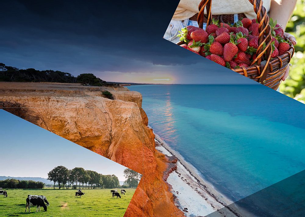 South Australia at Gulfood 2026 | Department of State Development