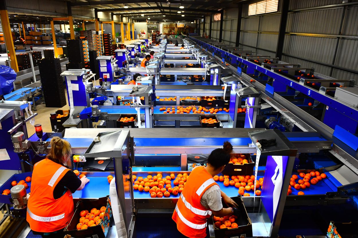 Venus Citrus | Department of State Development