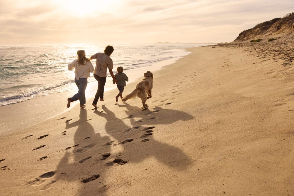 SA Health | Move to South Australia